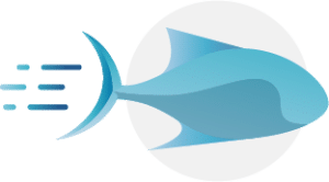 Inicio - Blue Stream Fiber